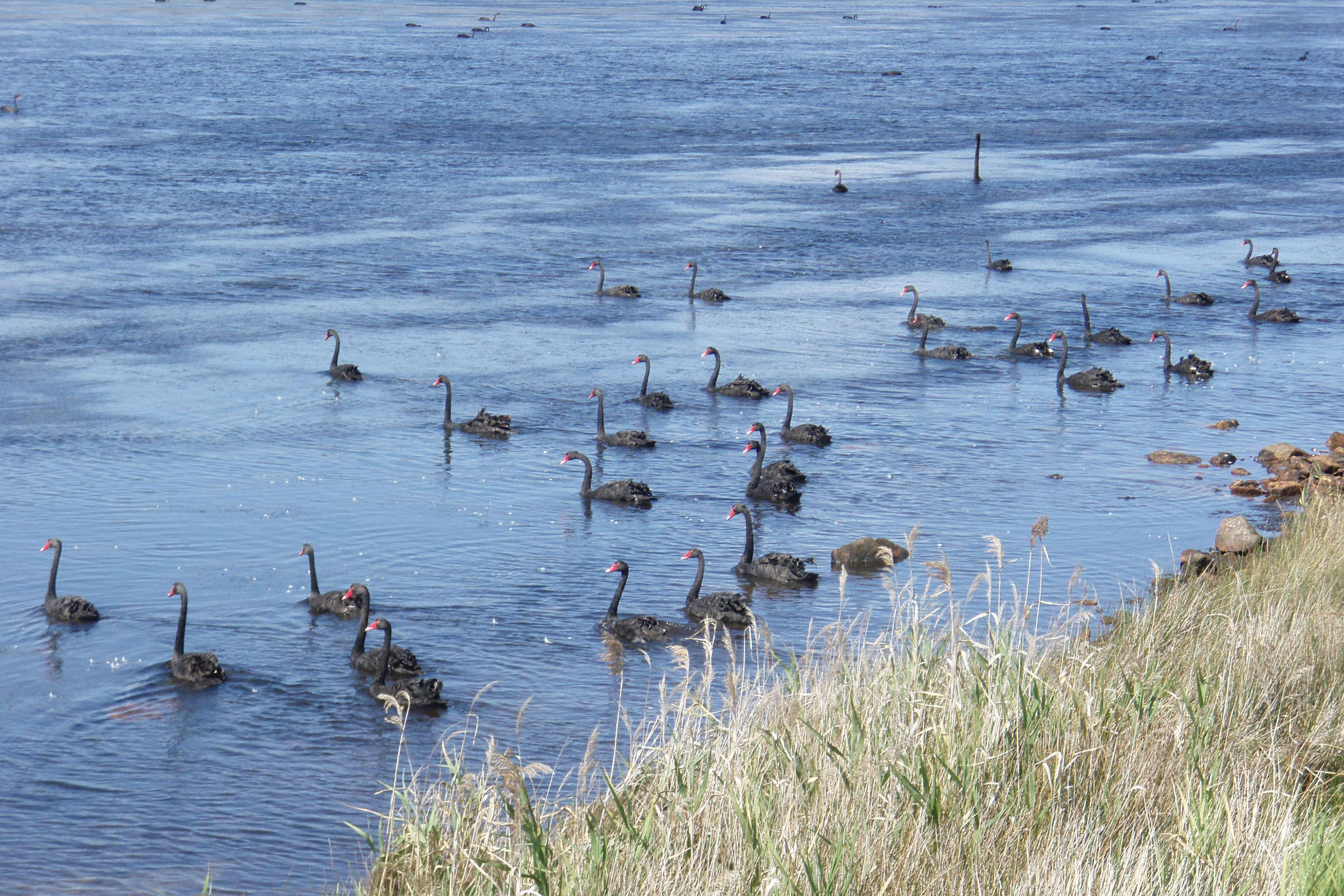 State of the Derwent Report Card 2022