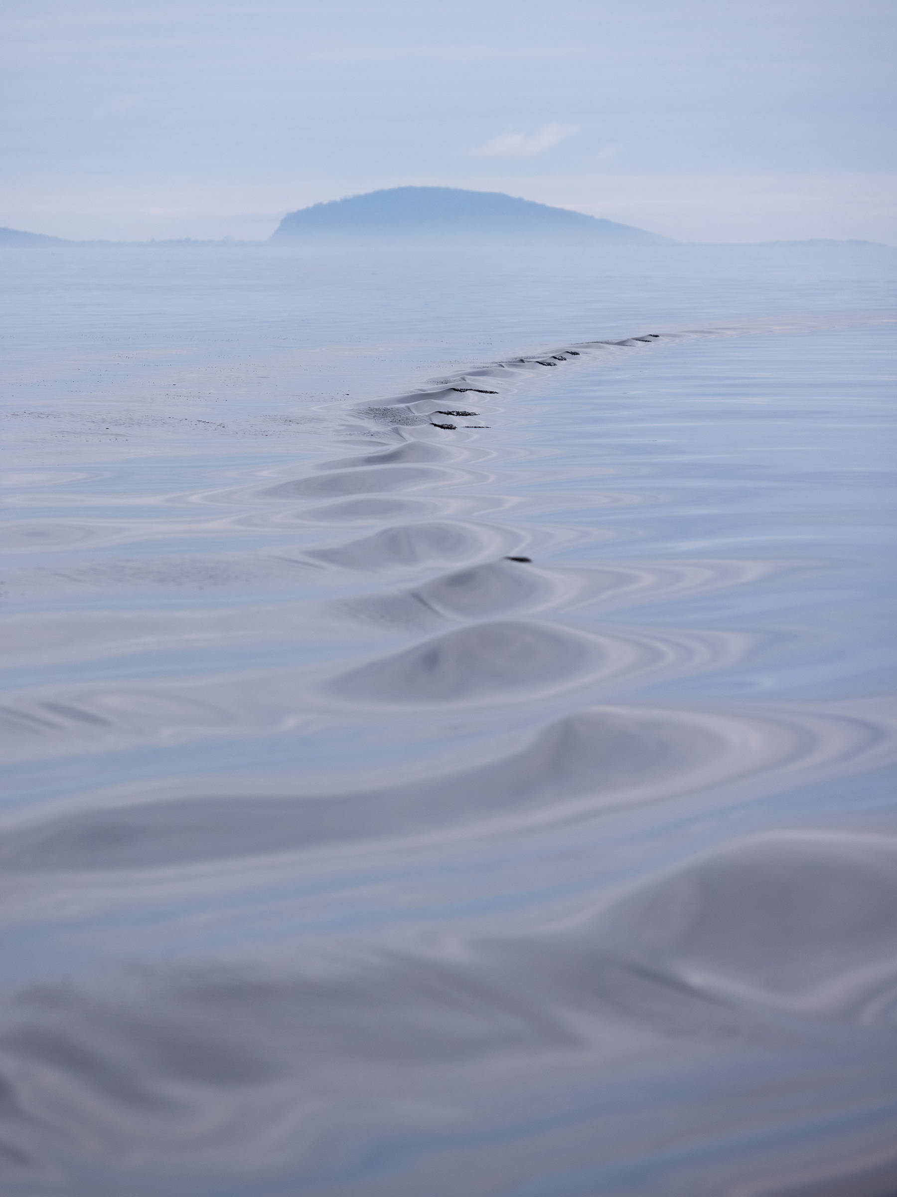 State of the Derwent Report Card 2022