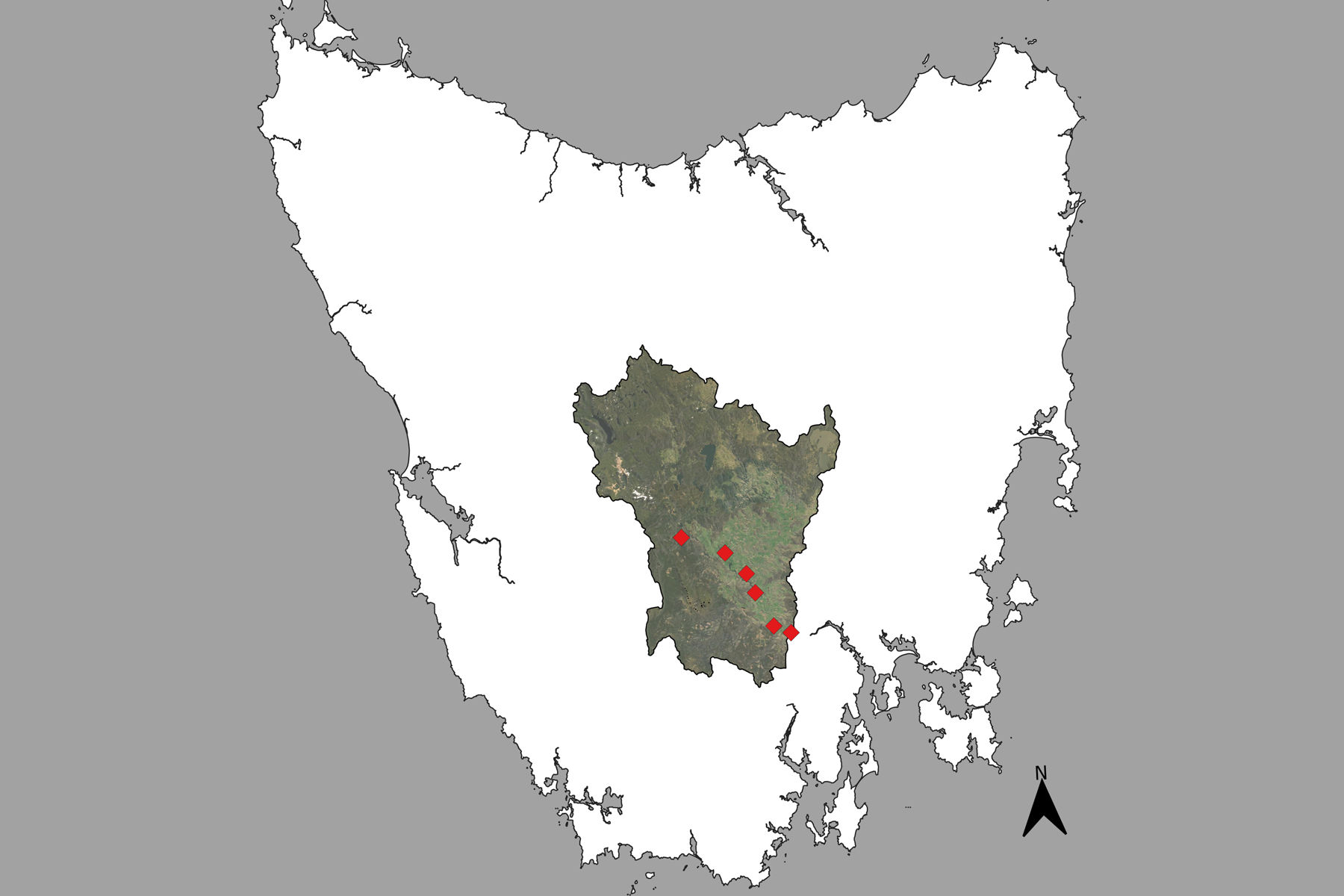 State of the Derwent Report Card 2022