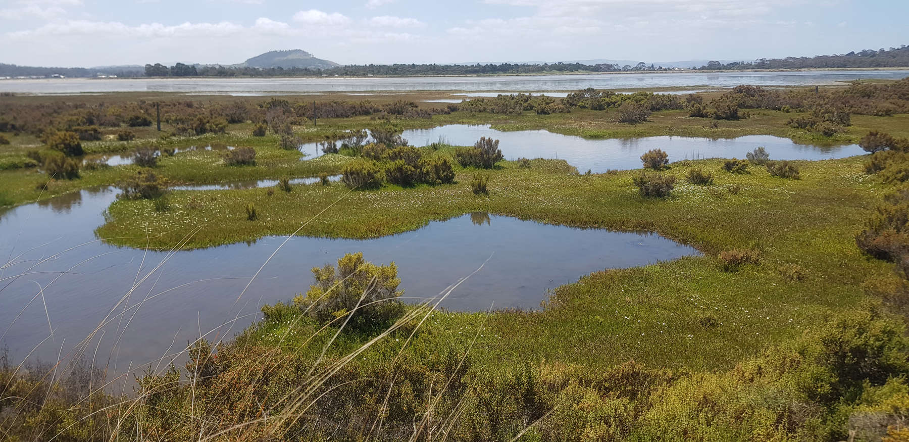 State of the Derwent Report Card 2022