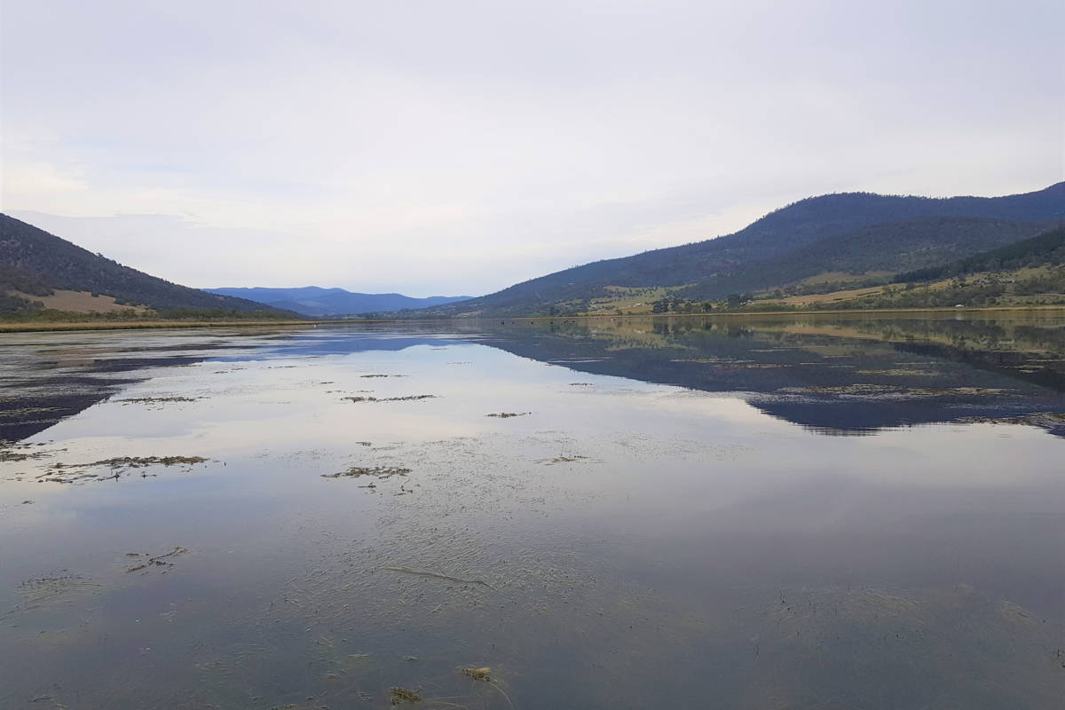 State of the Derwent Report Card 2022