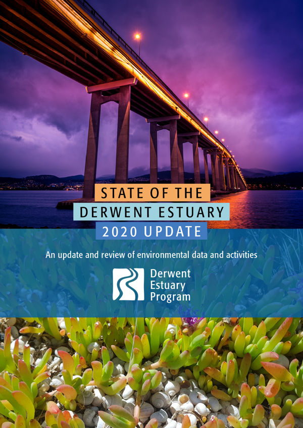 State of the Derwent Report Card 2022
