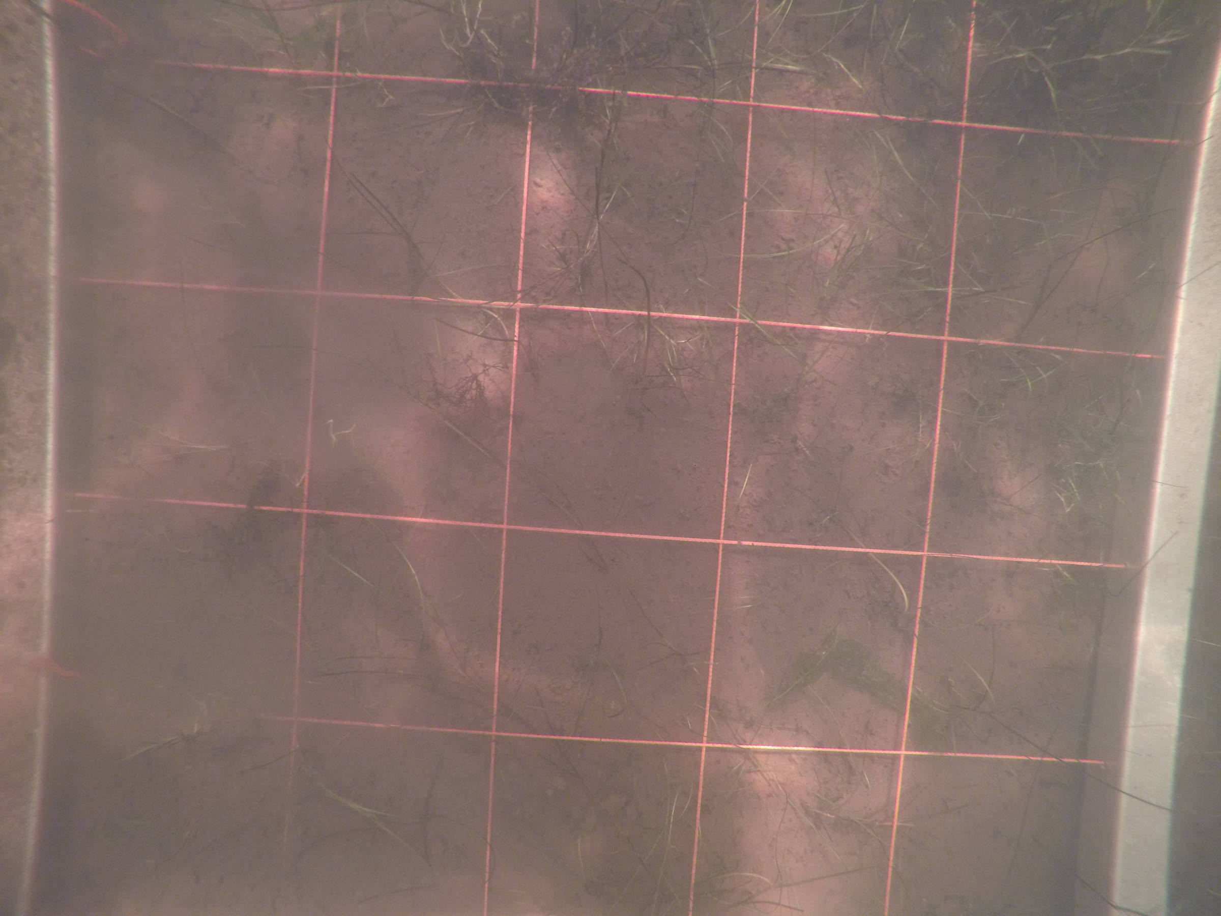 State of the Derwent Report Card 2023